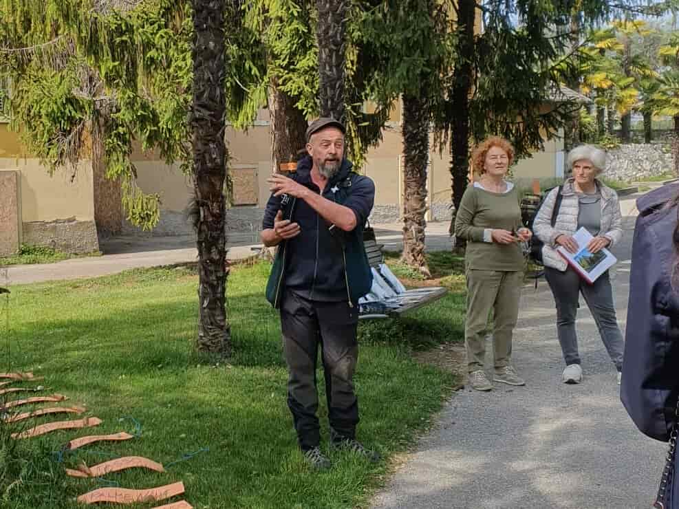 Le piante del Parco Miralago valgono milioni di Euro – La Busa